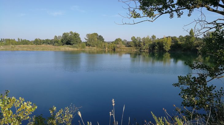 Aménagements et évènements sur le site de Vergèze - Fédération de Pêche ...