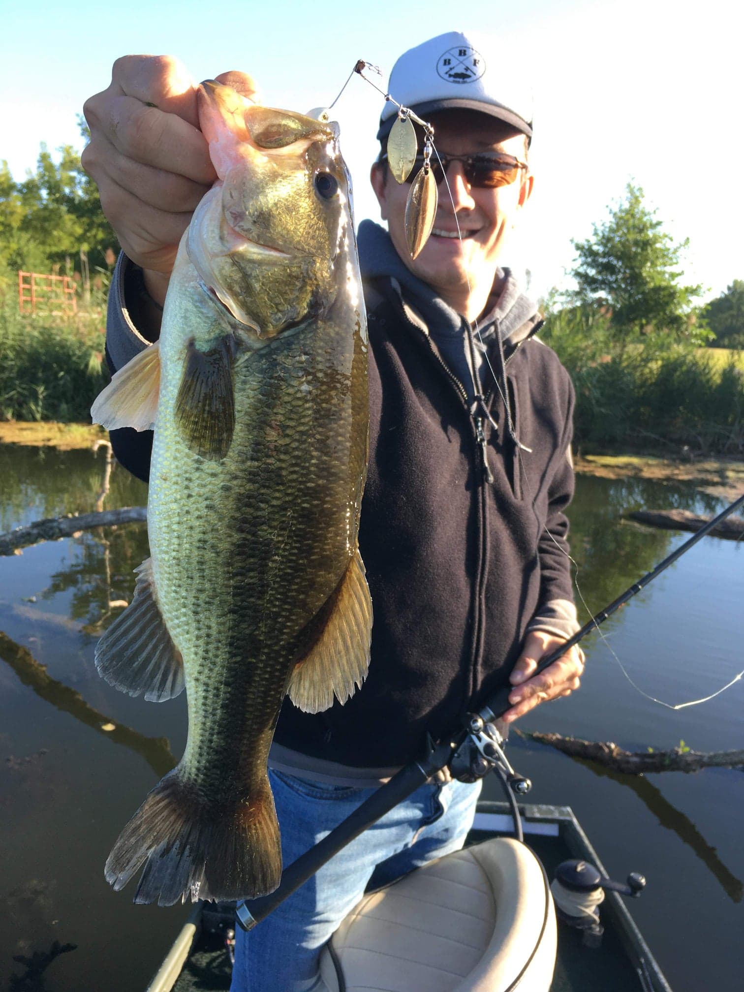 Une saison idéale pour la perche et le bass - Fédération de Pêche du Gard