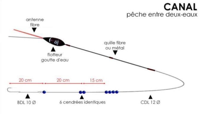 Tout pour réussir la pêche au coup - Fédération de Pêche du Gard